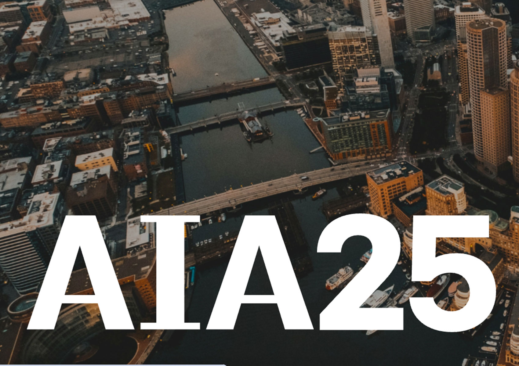 AIA Minnesota